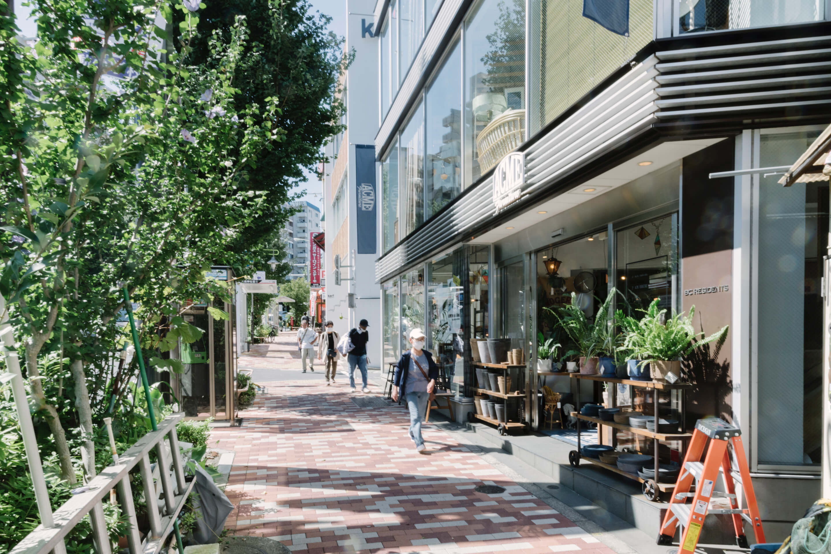 ICS COLLEGE OF ARTS WEB OPEN CAMPUS